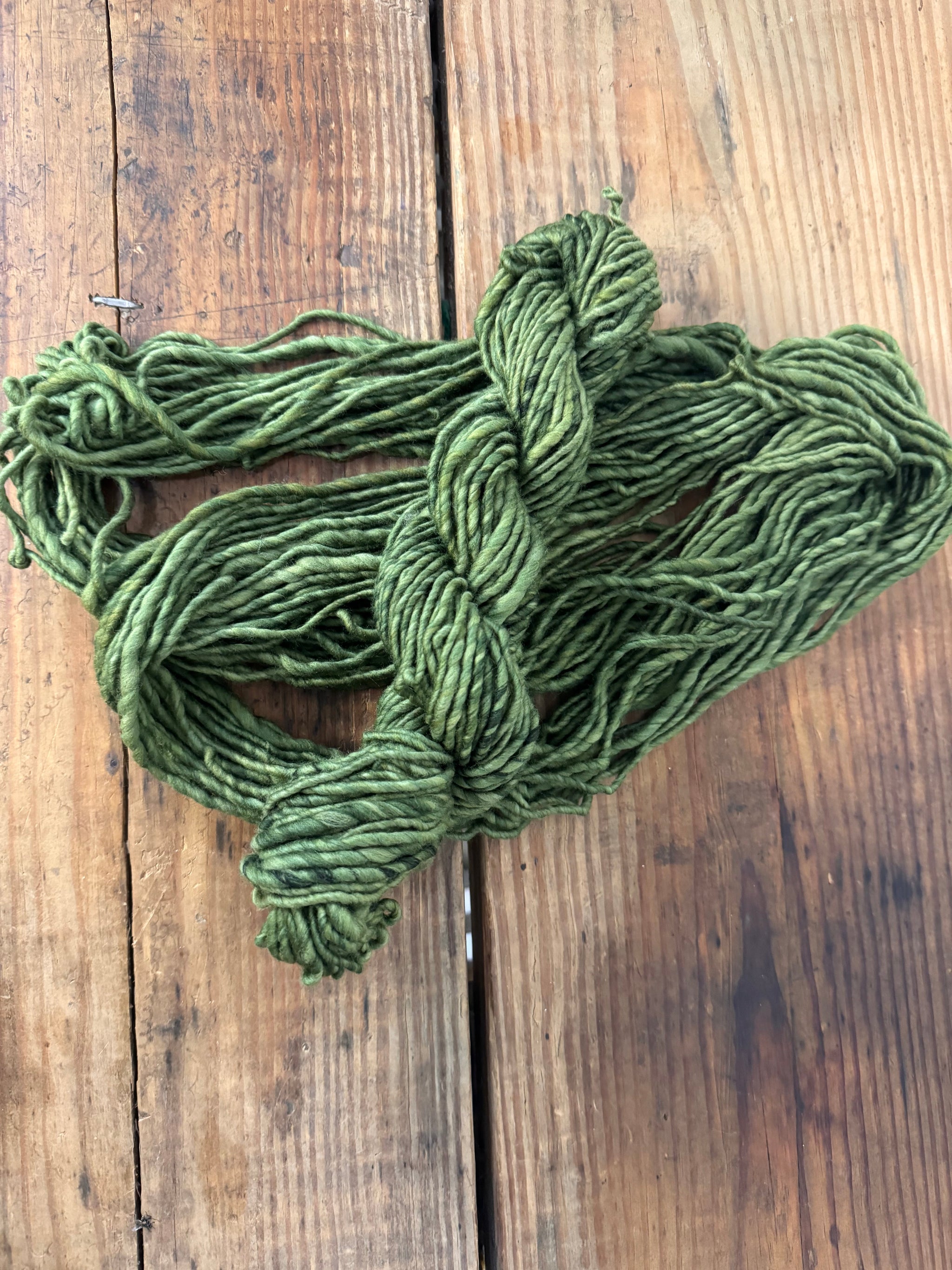 Friendly Fern Lopi – Red Hill Fiber & Co